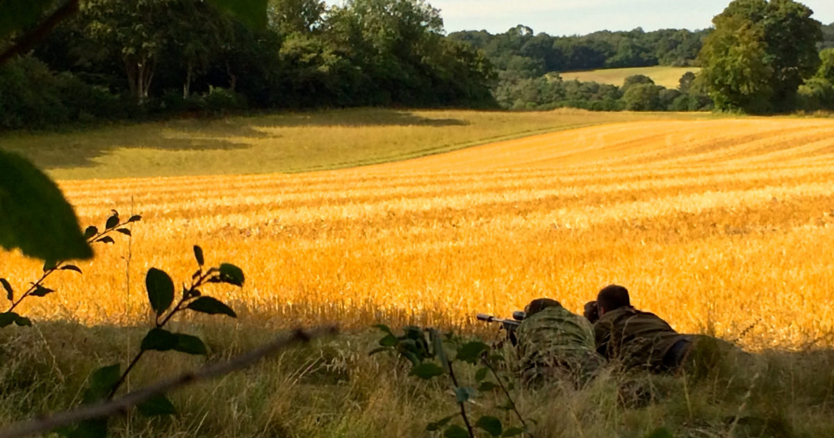 Wild Bushcraft Company | Stalk to Fork UK | Wild Bushcraft Company